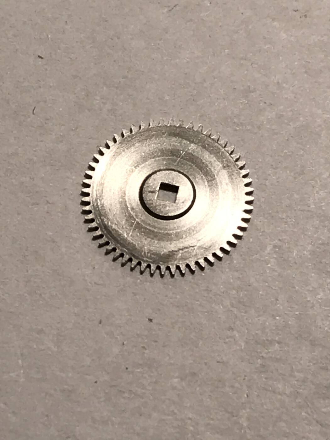 Omega 262-1100 Rachet wheel - Uhrmageren.com